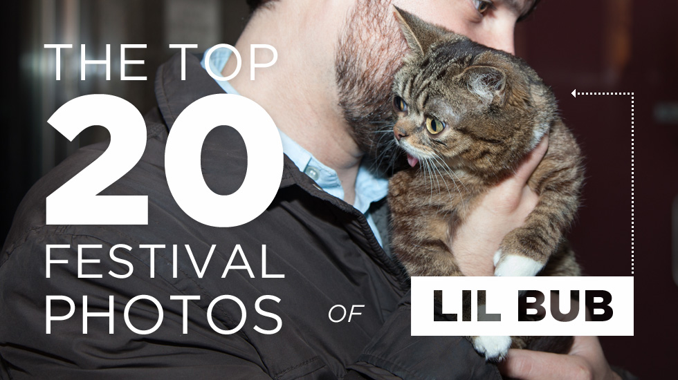 The 20 Best Photos of Lil Bub at TFF 2013 So Far | Tribeca