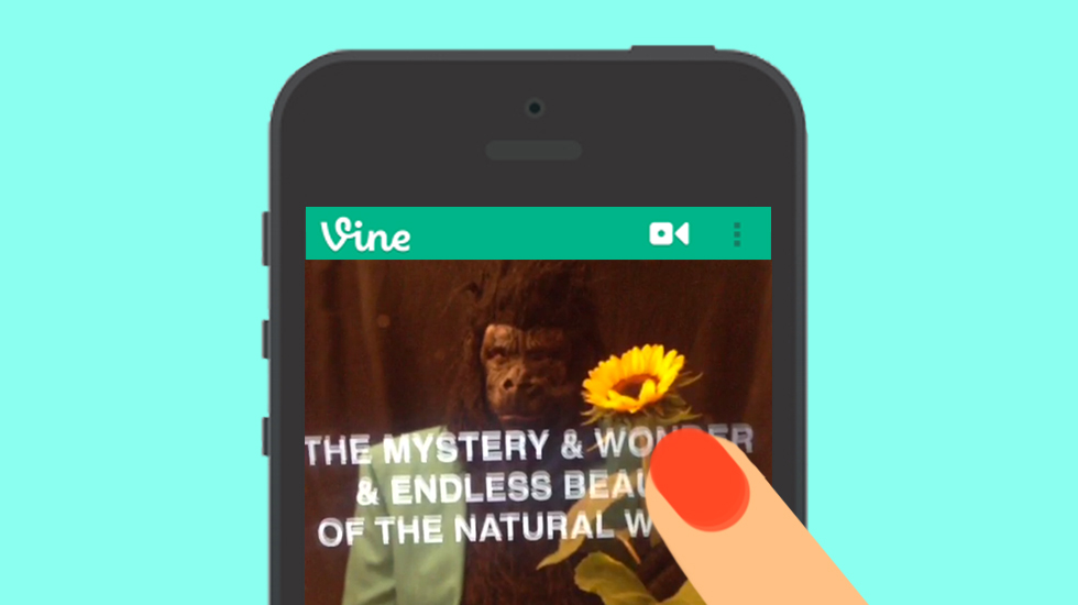 The 9 Best Vines of the Week: A Jab at Instagram & A Priceless SCOTUS ...